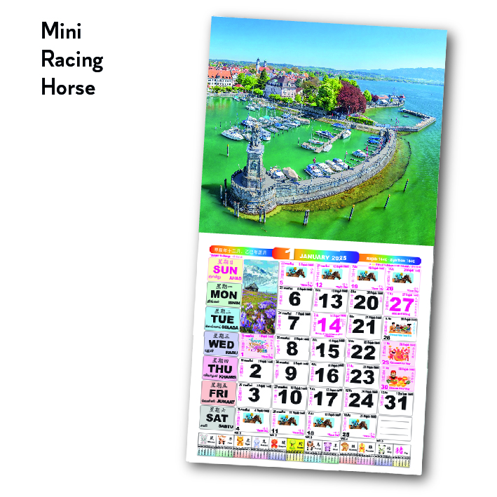 Mini Racing Horse | Diary Catalogue